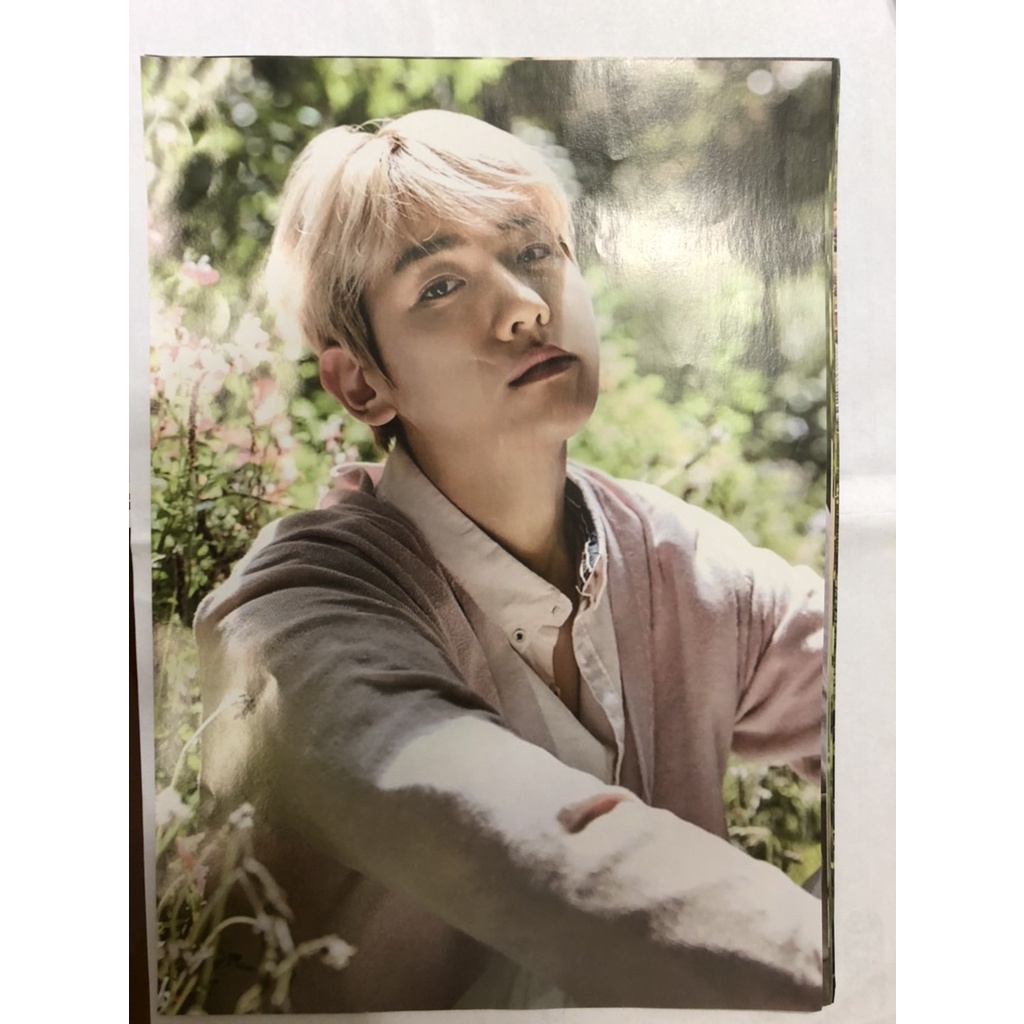 【全新】EXO A4個人海報 | 蝦皮購物