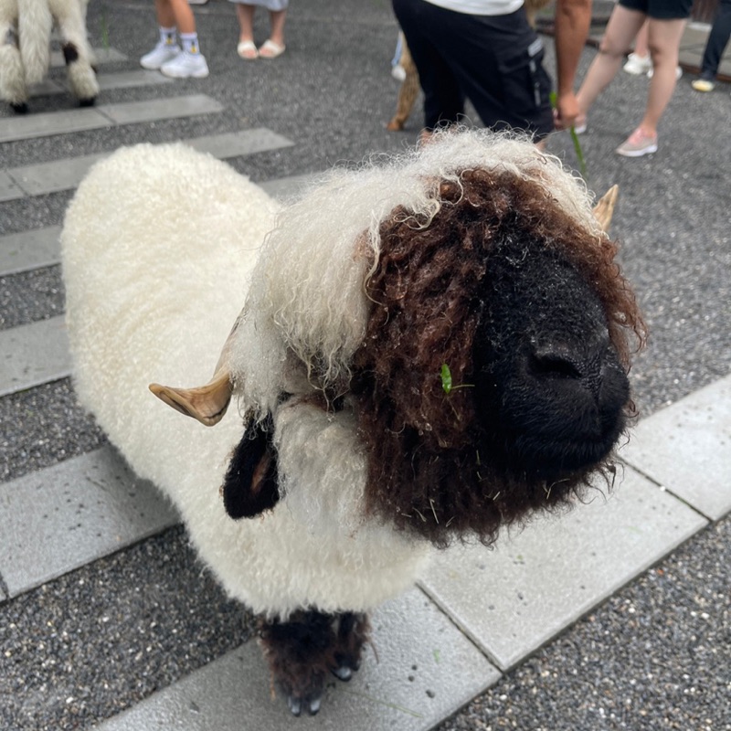 easyworld, 線上商店 | 蝦皮購物