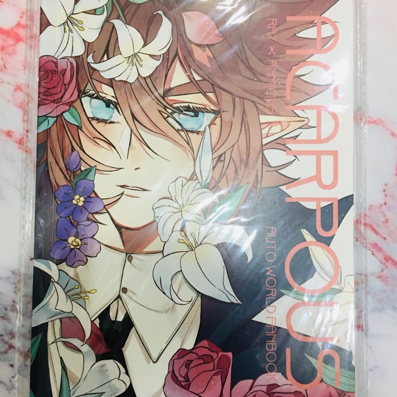 凹凸世界 Acarpous 雷安 桑子 | 蝦皮購物