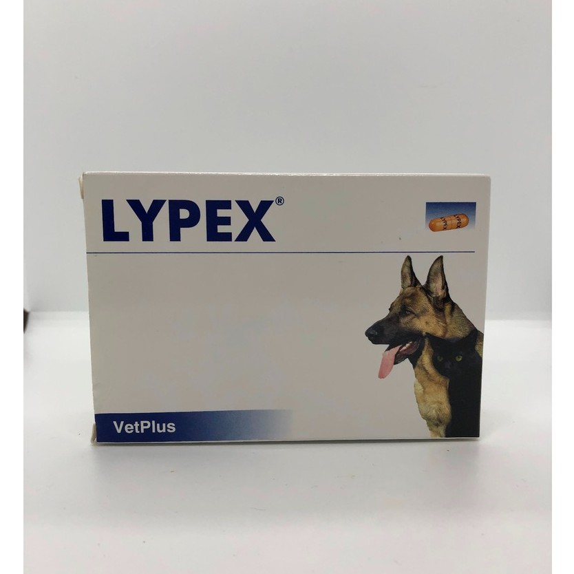 Vetplus Lypex的價格推薦 - 2021年4月| 比價比個夠BigGo