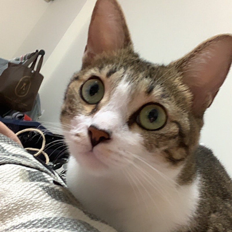 RAYVAL, 線上商店 | 蝦皮購物