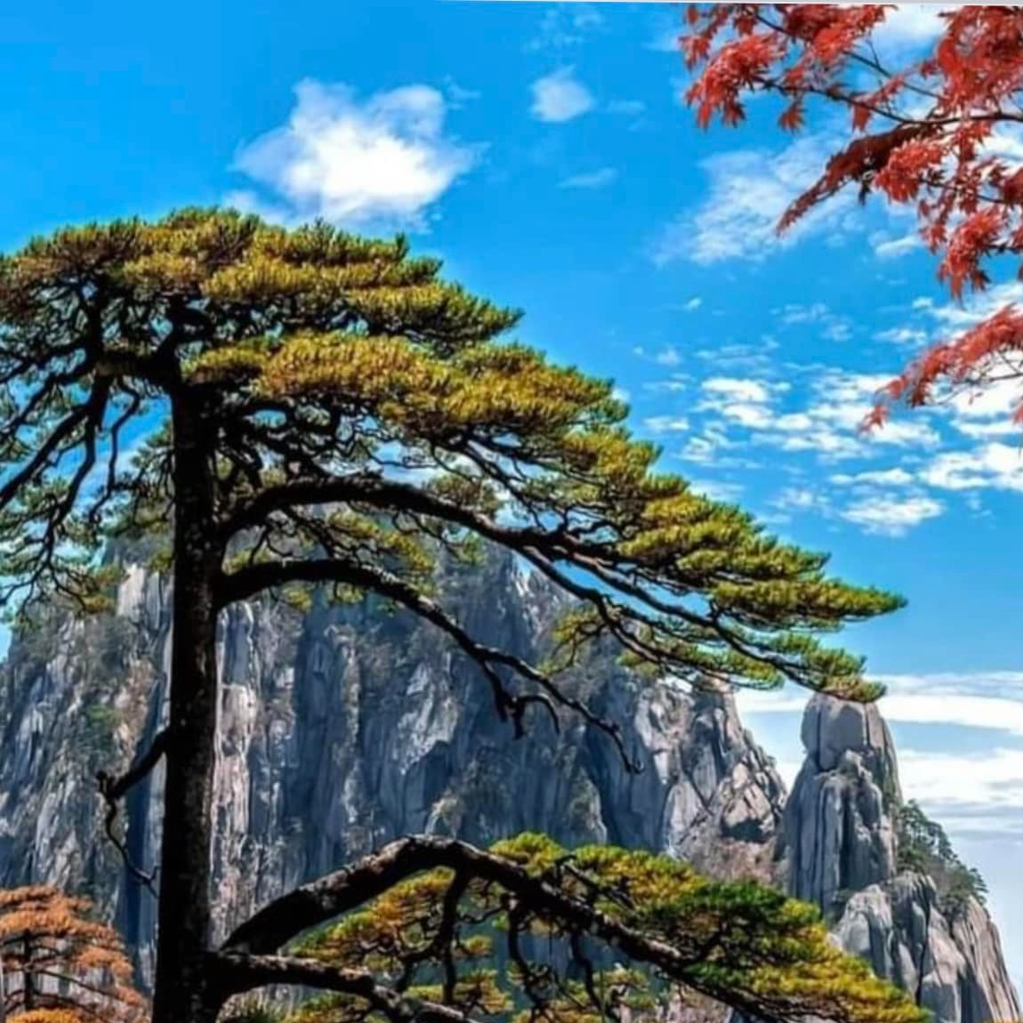 WendyL, 線上商店 | 蝦皮購物