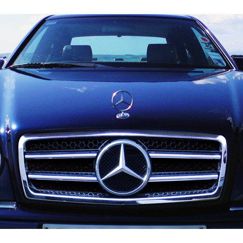 圓夢工廠 Benz 賓士 W210 E200 E240 E280 E300 E320 E430 96~99 AMG水箱罩 | 蝦皮購物