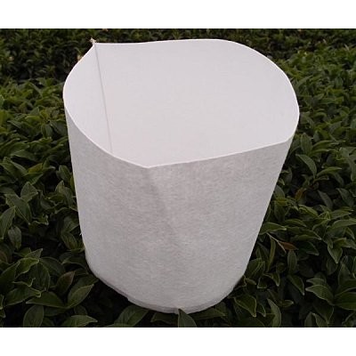 cute_shoshe , 線上商店 | 蝦皮購物