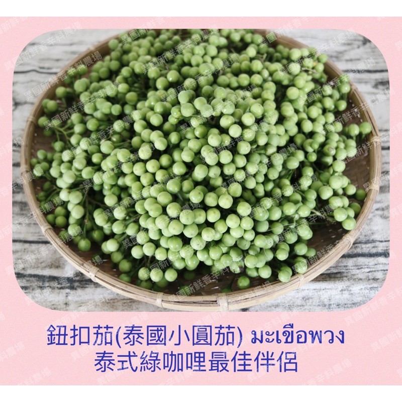 cepoka的價格推薦 - 2025年5月 | 比價比個夠BigGo