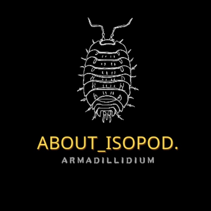 DoDomen, 線上商店 | 蝦皮購物