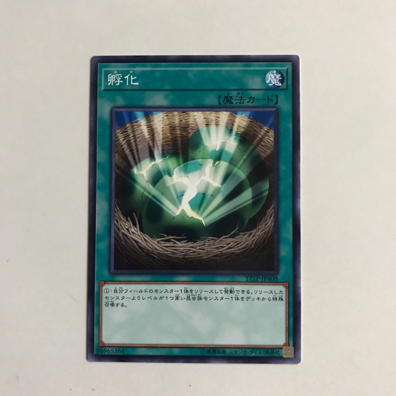 17TP的價格推薦 - 2024年3月| 比價比個夠BigGo