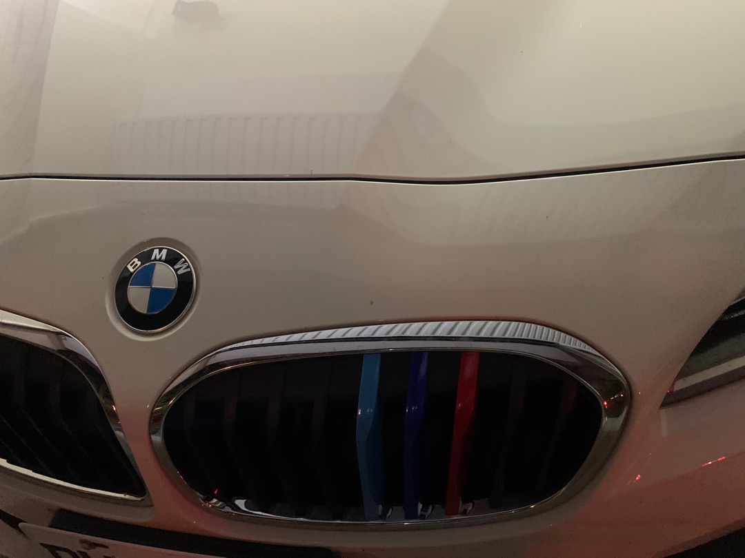 BMW 改裝鼻頭 卡扣 三色 水箱罩飾條 F20 F45 E46 E90 E92 F30 F32 F34 E39 E60 | 蝦皮購物