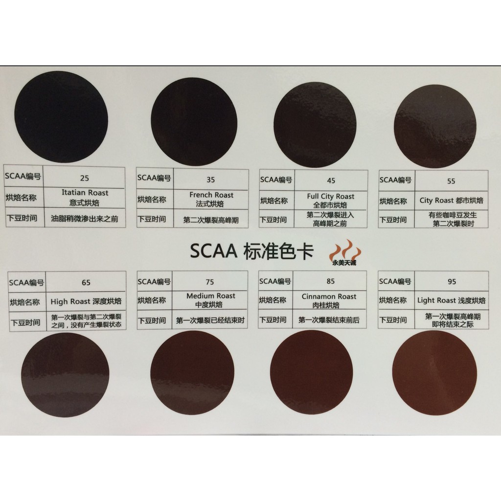 SCAA/Agtron 咖啡烘焙色卡(A4大小) 仿真 價格低 數量有限 賣完為止 | 蝦皮購物