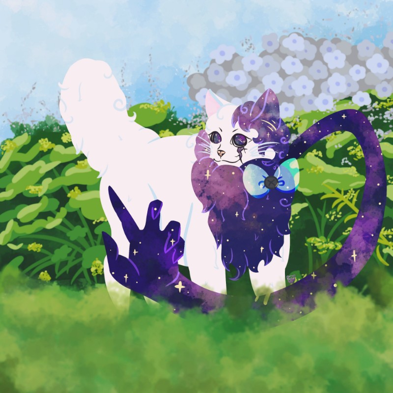 a4450, 線上商店 | 蝦皮購物