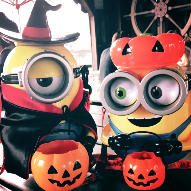 fayfay, 線上商店 | 蝦皮購物