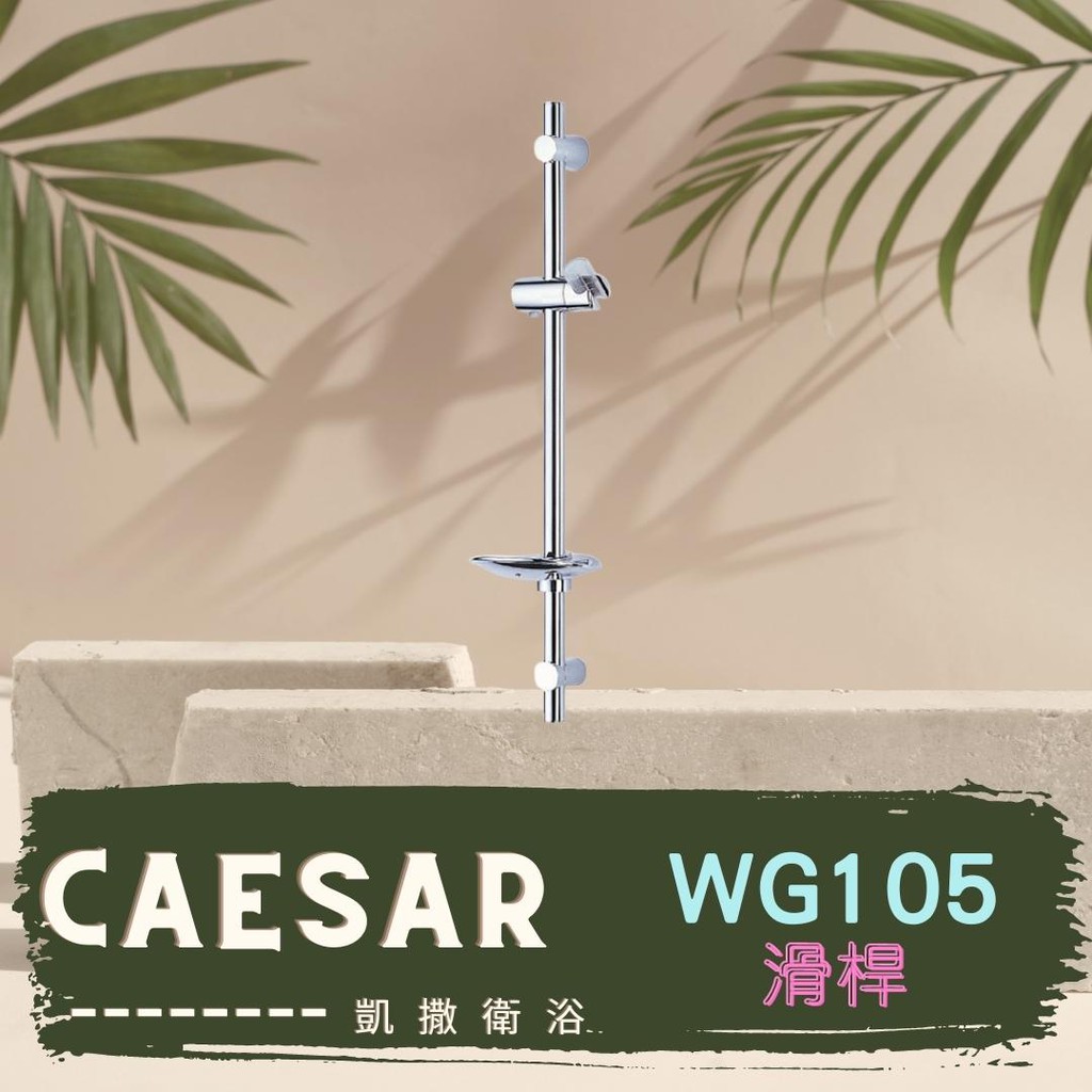 caesar 凱撒 WG105 滑桿 伸降桿 蓮蓬頭架 蓮蓬頭 淋浴龍頭 | 蝦皮購物