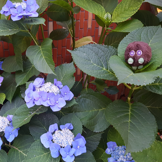 azuregreen, 線上商店 | 蝦皮購物