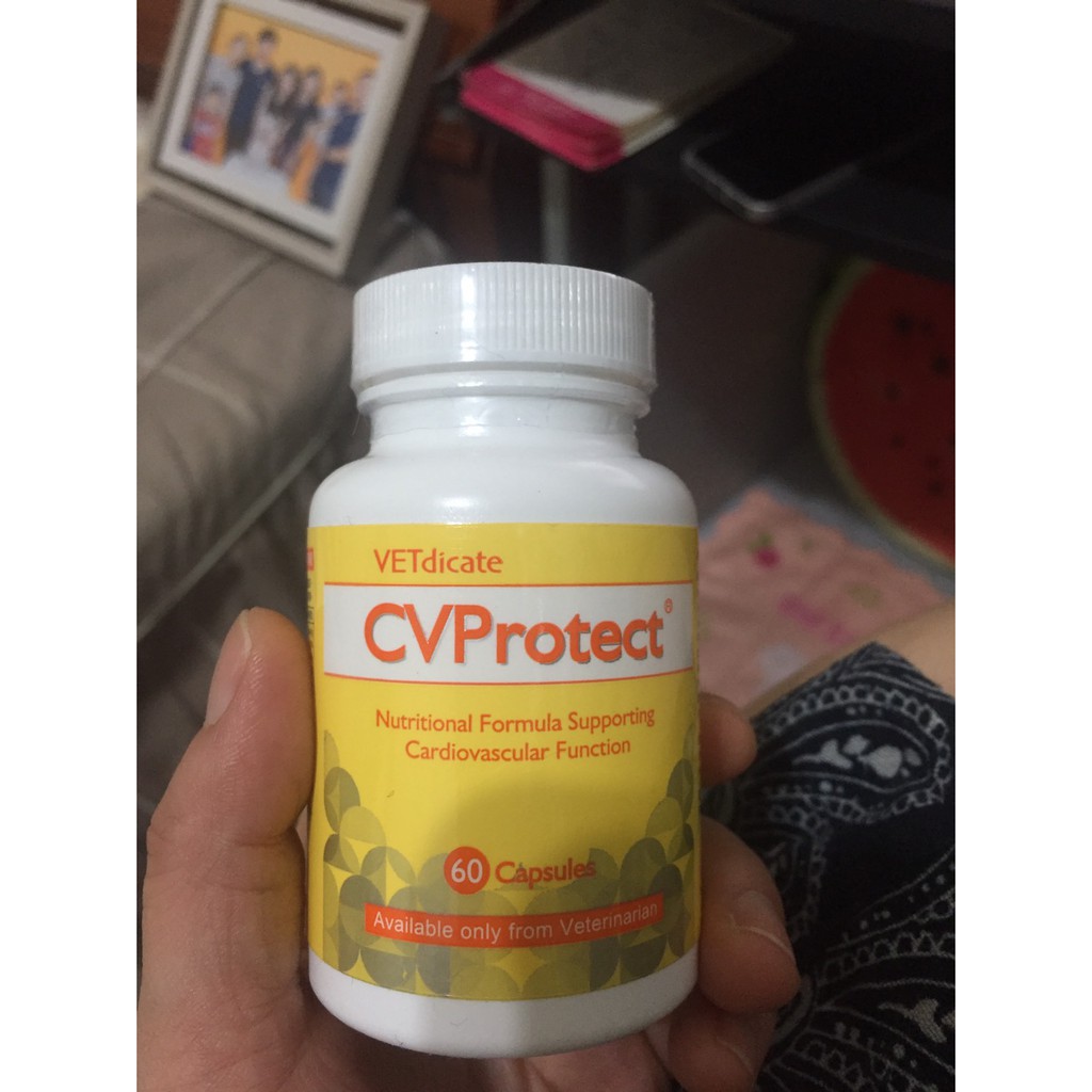 Cv Protect的價格推薦 - 2021年2月| 比價比個夠BigGo