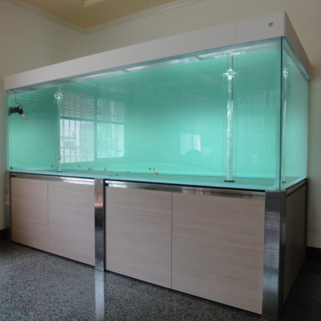 Brian Show, 線上商店 | 蝦皮購物