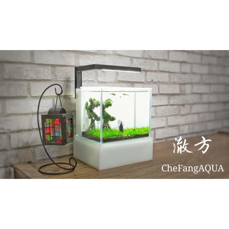 CHE FANG AQUA, 線上商店 | 蝦皮購物