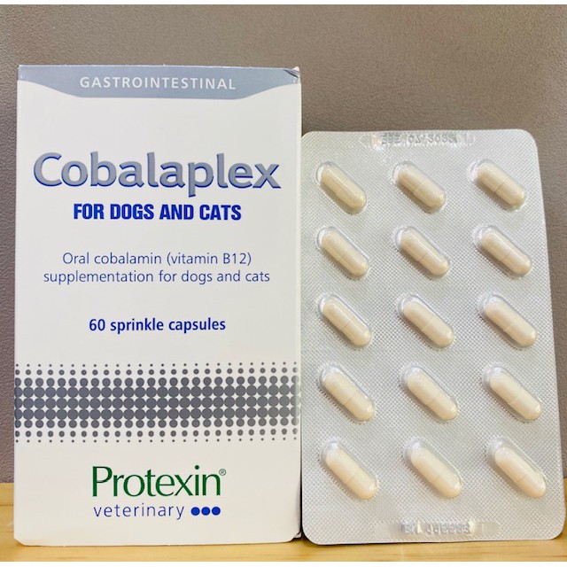 Cobalaplex的價格推薦 - 2023年12月| 比價比個夠BigGo