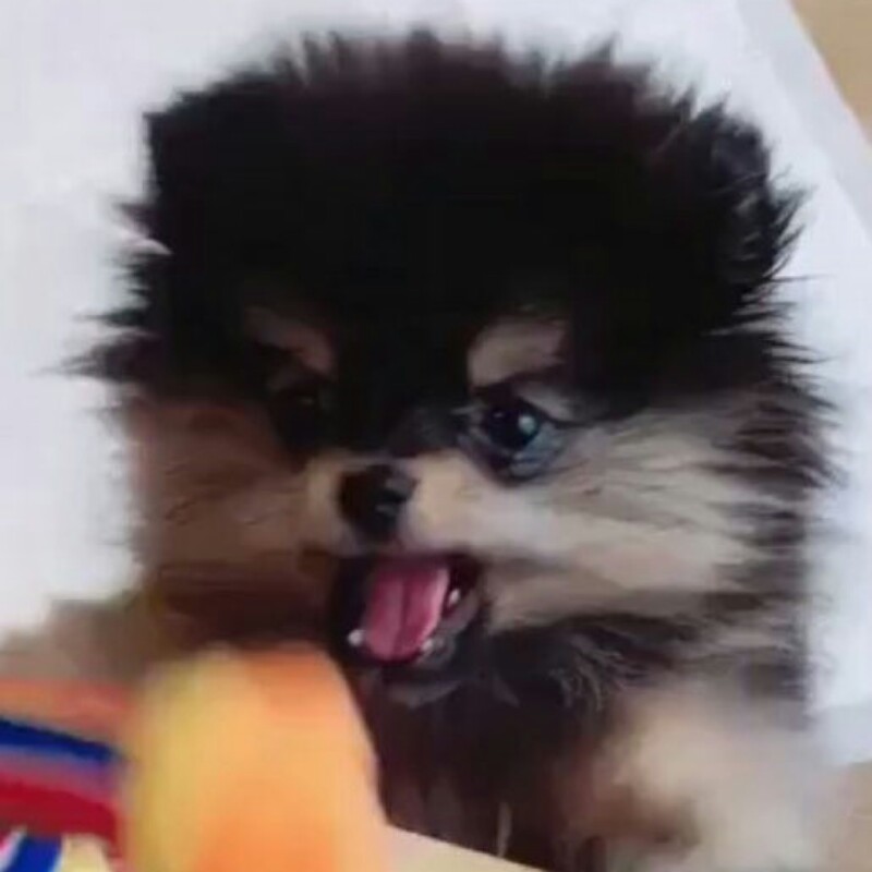 Ursoo!, 線上商店 | 蝦皮購物