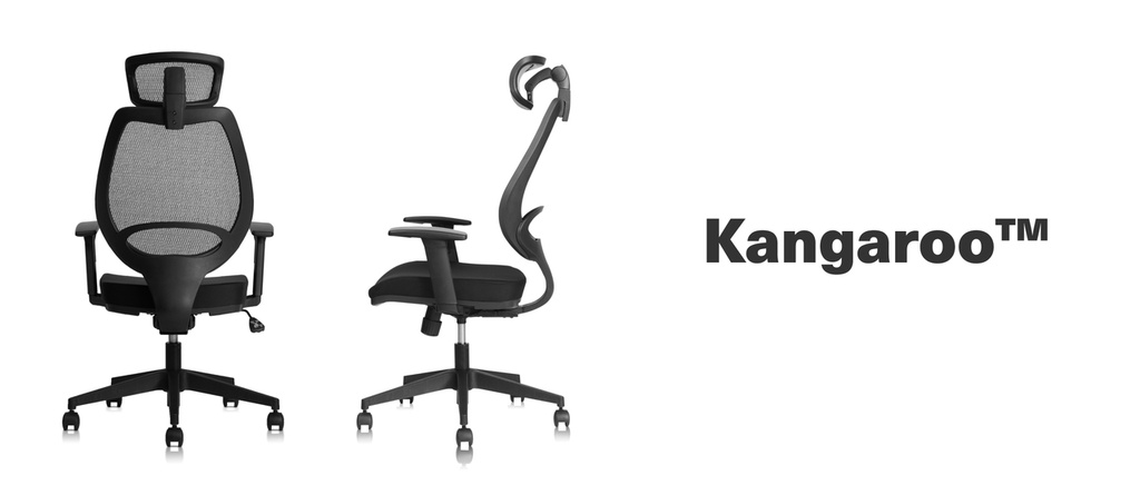 【存在音樂】Kangaroo™ 袋鼠工學椅｜熱銷基本款 免運 獨家優惠 wavebone / backbone | 蝦皮購物