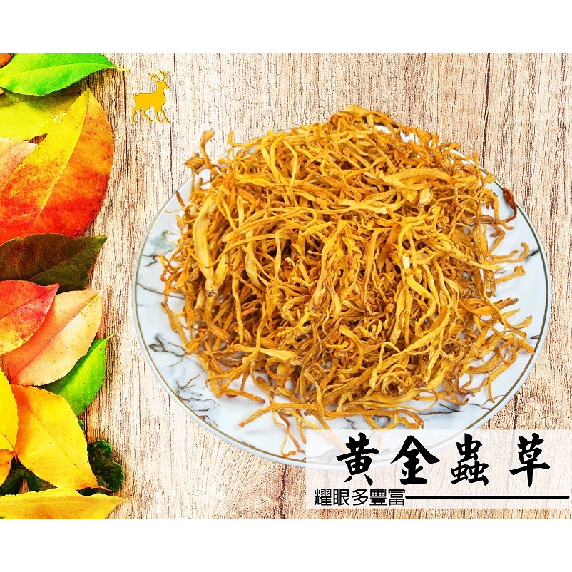 【耀眼多豐富 黃金蟲草 北蟲草 金蟲草 蟲草花 檢驗合格 養生藥膳食材 富含多種成分是冬蟲夏草的代替品火鍋 湯底 湯】 | 蝦皮購物