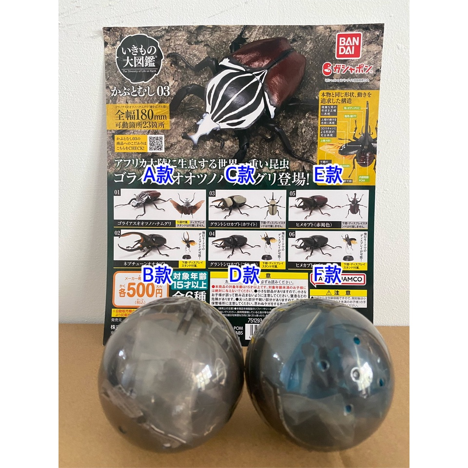 TOYSWAVE 現貨 BANDAI 扭蛋 轉蛋 生物大圖鑑 獨角仙 03 | 蝦皮購物
