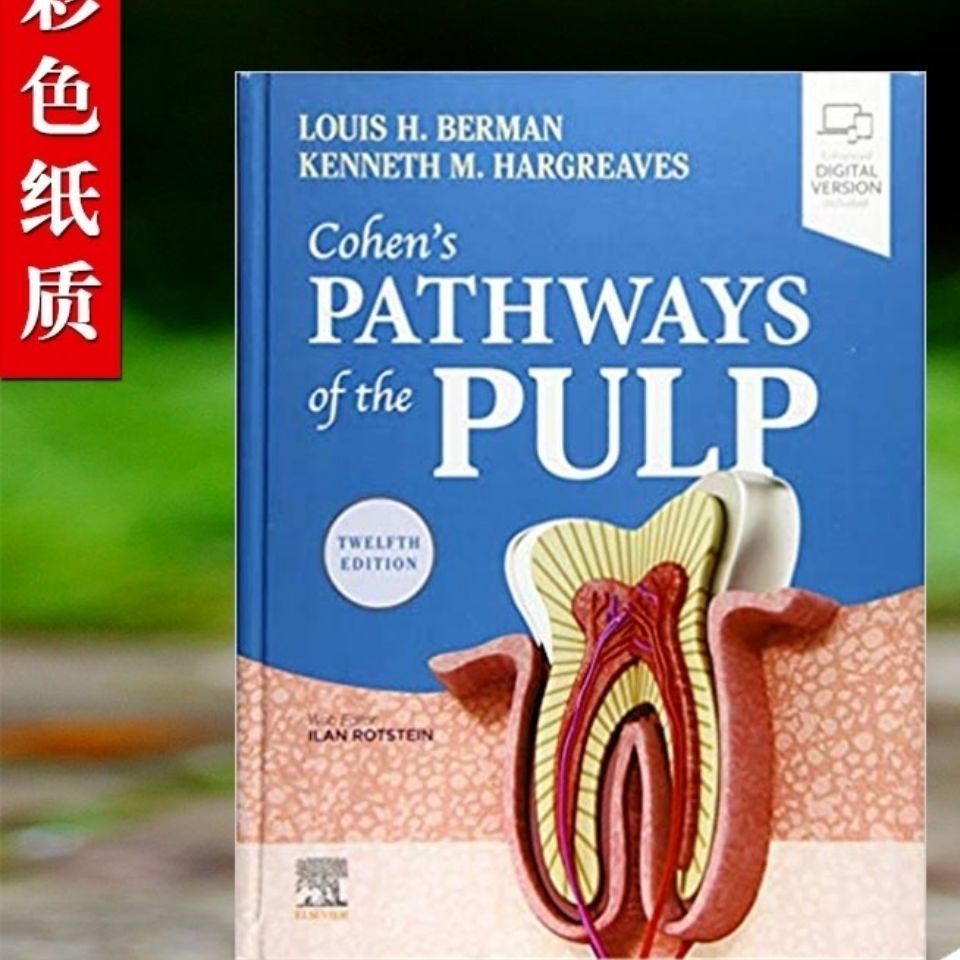 彩色實體Cohen's Pathways of the Pulp 12th Edition | BeeCost