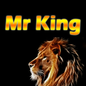 Mr King, 線上商店 | 蝦皮購物