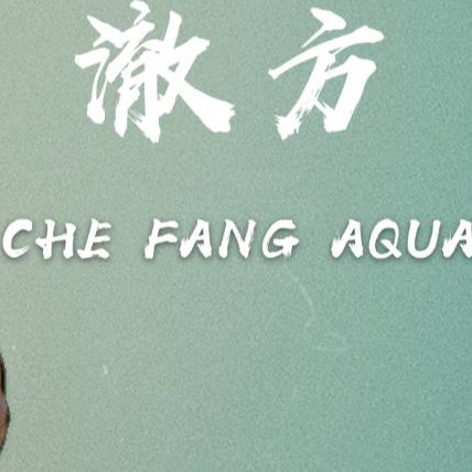 CHE FANG AQUA, 線上商店 | 蝦皮購物