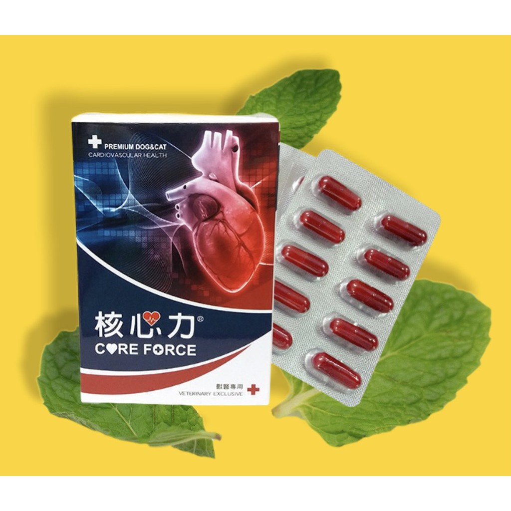 CORE FORCE 核心力 60顆 | 蝦皮購物