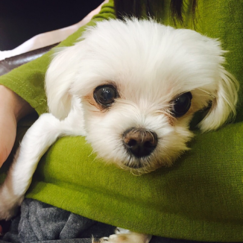 kelly_lai, 線上商店 | 蝦皮購物