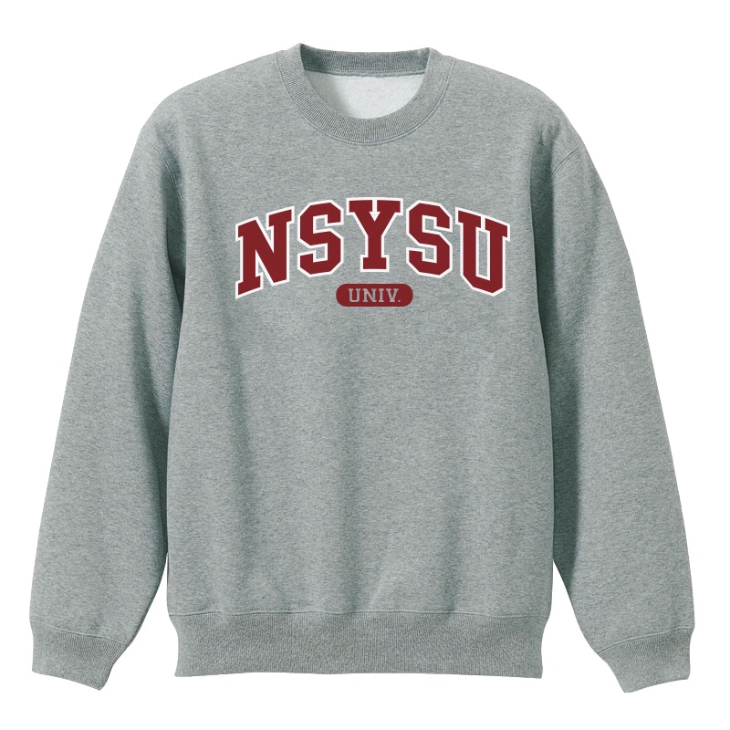 nsysu的價格推薦 - 2025年8月 | 比價比個夠BigGo