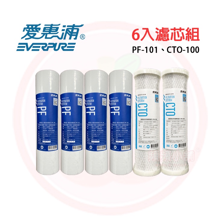 頻頻小舖 EVERPURE 愛惠浦 PF-101 / PF-105 CTO-100 標準10吋 一年份濾芯組 6入 | 蝦皮購物