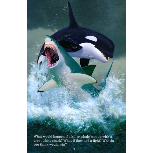 Great White Shark Vs Killer Whale Who Would Win