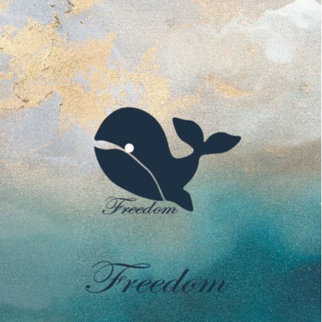 Freedom_Ocean, 線上商店 | 蝦皮購物