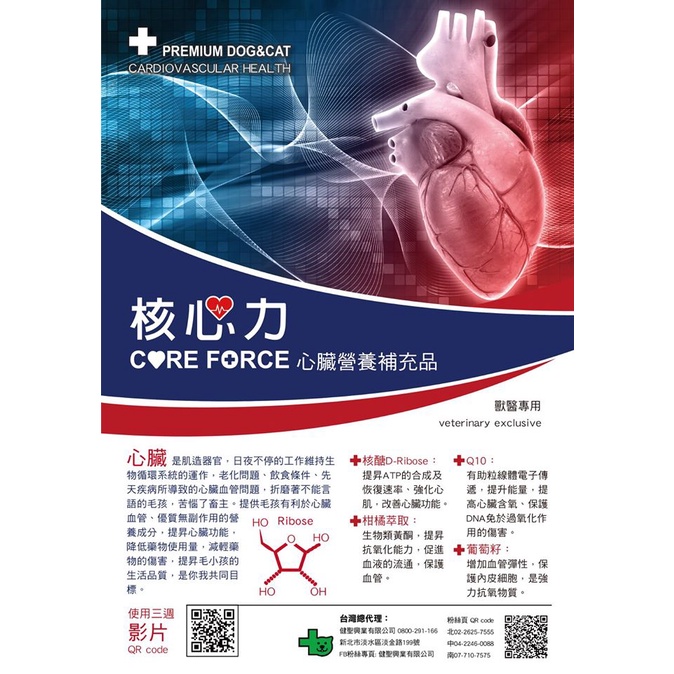 核心力 CORE FORCE 60錠 | 蝦皮購物