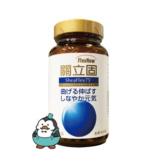 關立固 flexnow 300粒 - 比價撿便宜 - 優惠與推薦 - 2022年7月