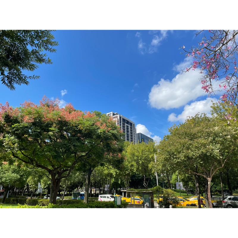 inwind, 線上商店 | 蝦皮購物