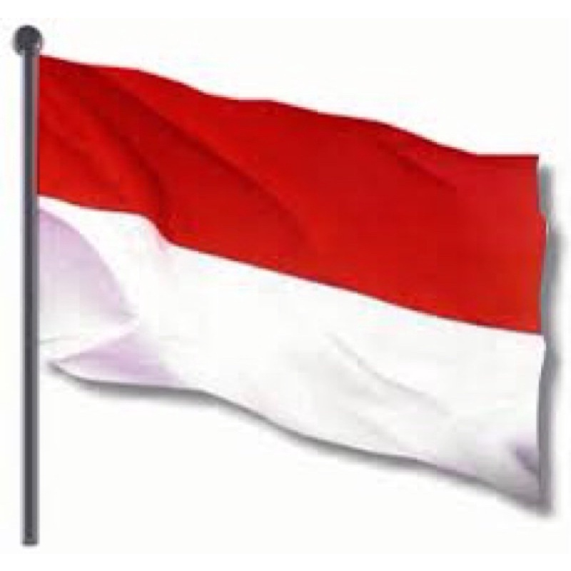 bendera palestina的價格推薦 - 2024年11月| 比價比個夠BigGo