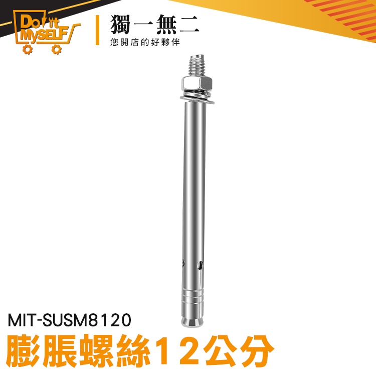 【獨一無二】緊固熱水器 空調冷氣安裝 螺絲壁虎 水處理工程用 MIT-SUSM8120 壁虎螺絲 水泥釘 壁虎 | 蝦皮購物