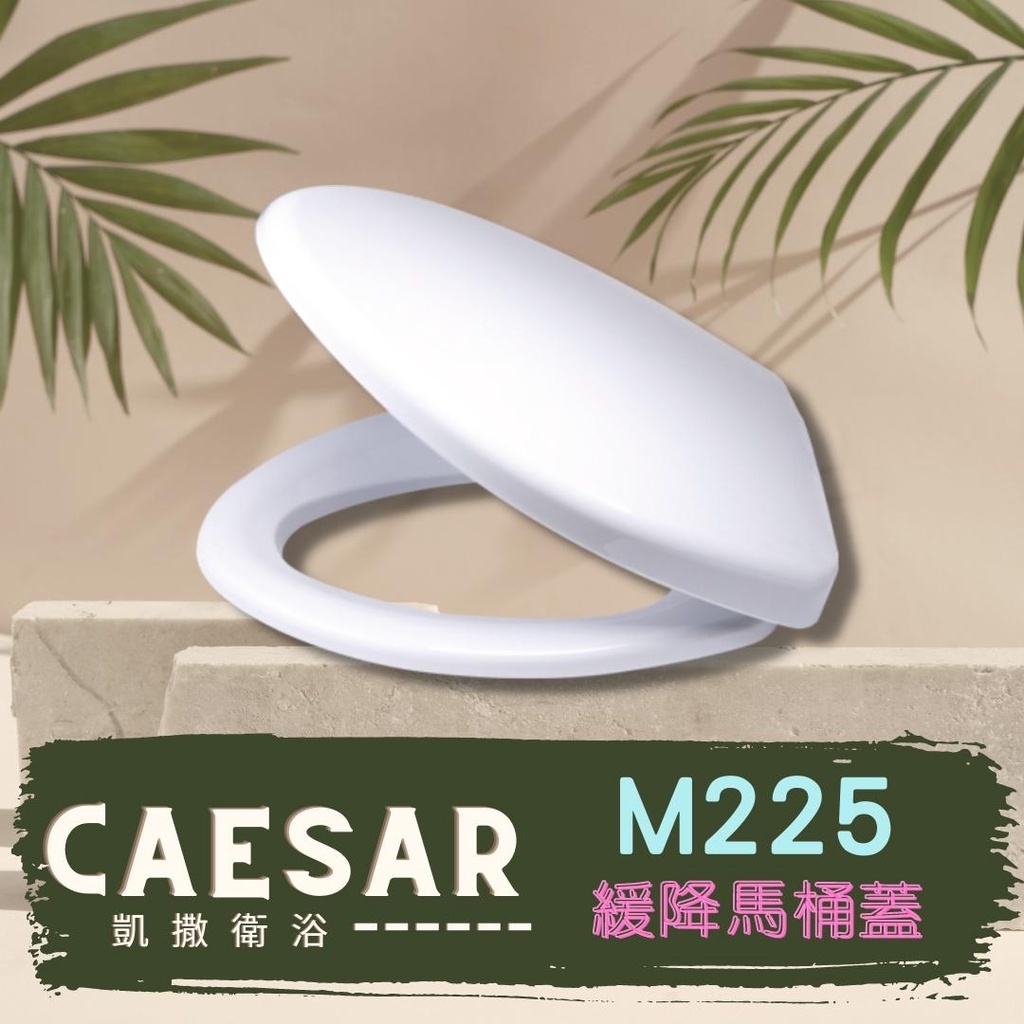 CAESAR馬桶蓋M225的價格推薦 - 2023年2月| 比價比個夠BigGo