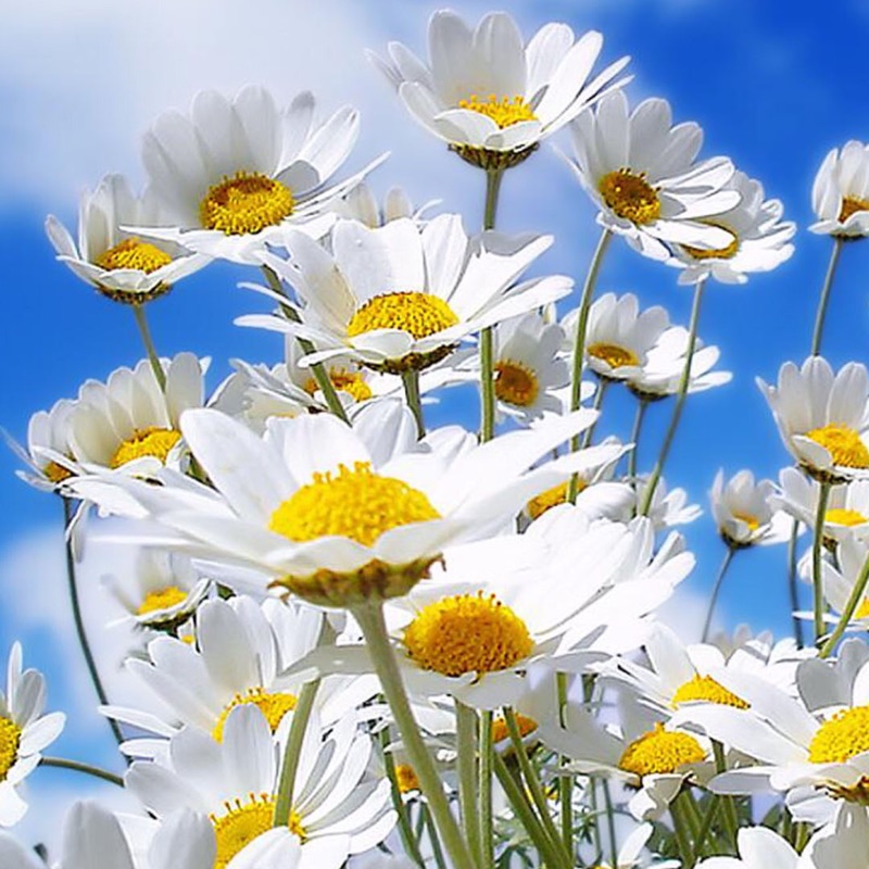 ssswww, 線上商店 | 蝦皮購物