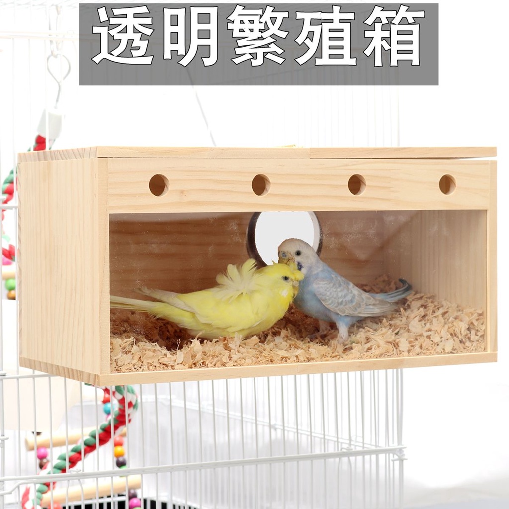 【96%OFF!】 鳥籠 鳥箱 setonda.com