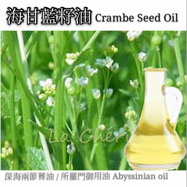 海甘藍籽油 Crambe abyssinica seed oil 保養品原料 | 蝦皮購物