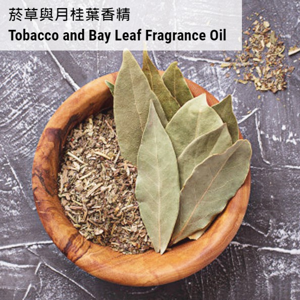 tobacco and bay leaf的價格推薦 - 2025年5月 | 比價比個夠BigGo