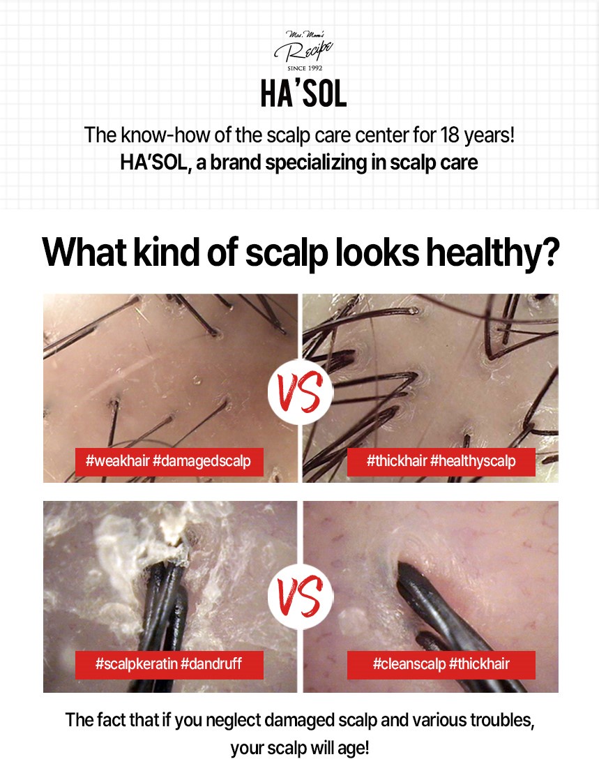 [HA'SOL] Anagen 洗髮水 500g 頭皮屑 / 髮絲 | 蝦皮購物