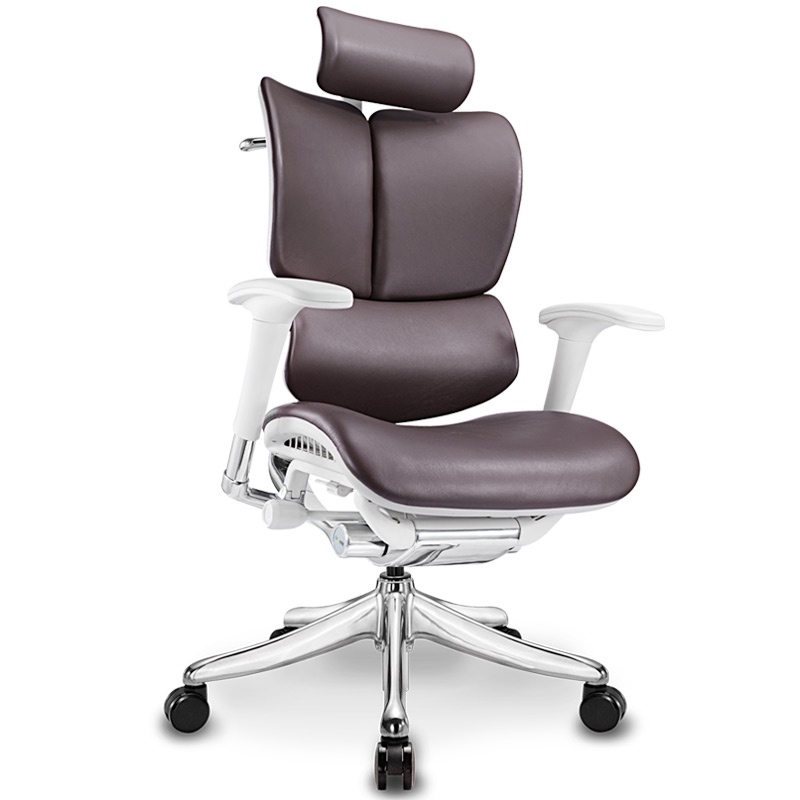 Ergomax的價格推薦 - 2022年7月| 比價比個夠BigGo