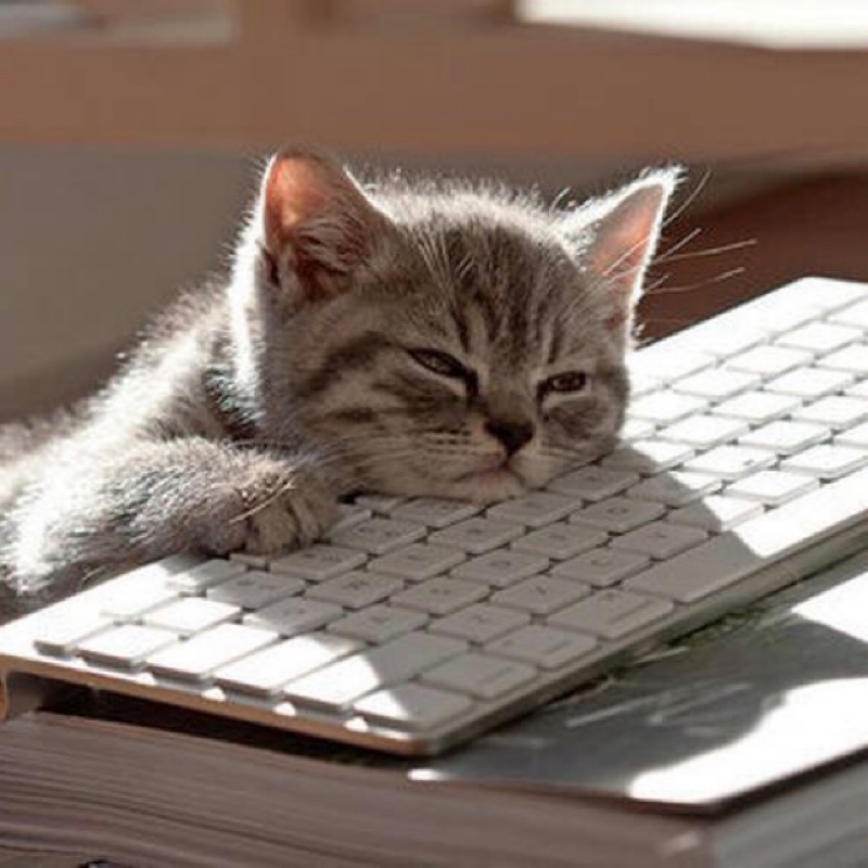 szuma, 線上商店 | 蝦皮購物