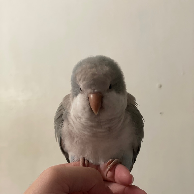 Juju C, 線上商店 | 蝦皮購物