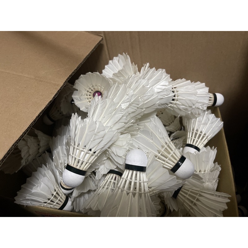 Rsl4 羽球 13顆的價格推薦 - 2024年3月| 比價比個夠BigGo