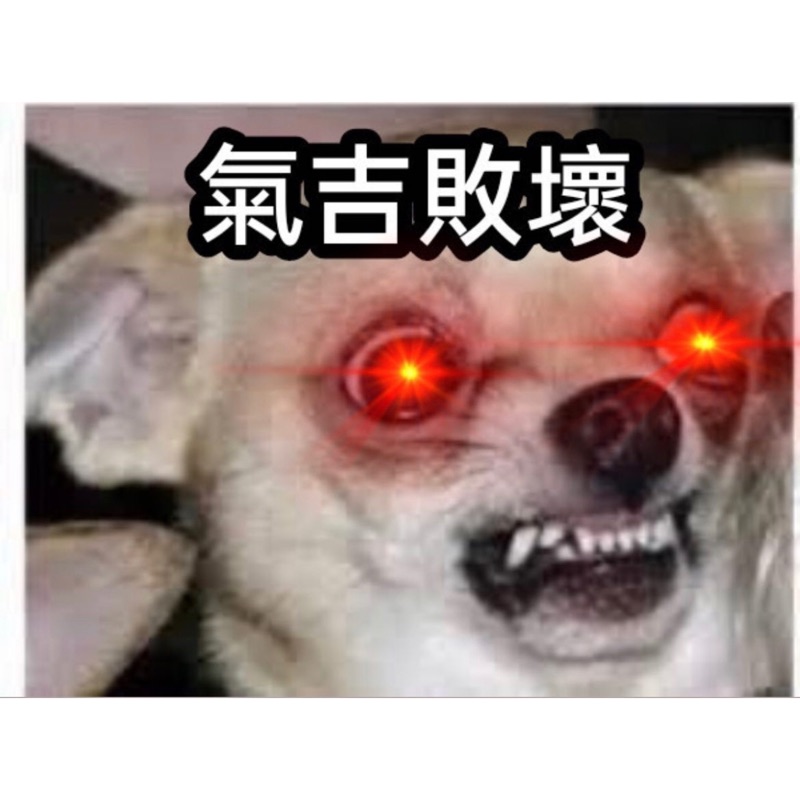 wooooosa, 線上商店 | 蝦皮購物